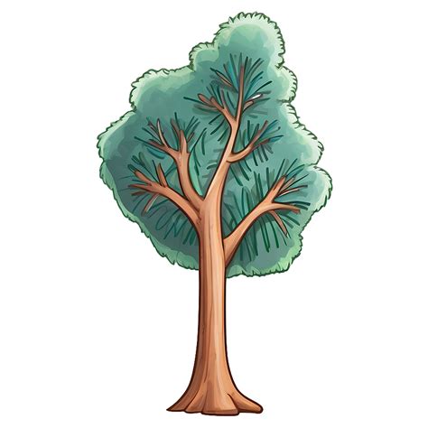 Download Hand Drawn Tree Elevation Png 06262024