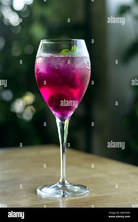 Raspberry And Red Dragon Fruit Prosecco Wine Spritzer Cocktail Stock