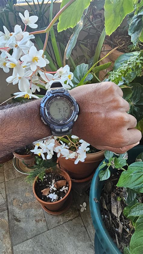 Ye Olde Prg 80 R Casio