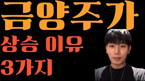 금양 주가 어디까지 올라갈까 금양주가전망 Youtube