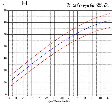 Femur Length Chart By Week