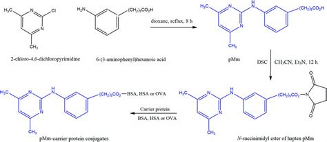 Synthesis Route Of Pmm N Succinimidyl Ester Of Hapten Pmm Pmm Bsa