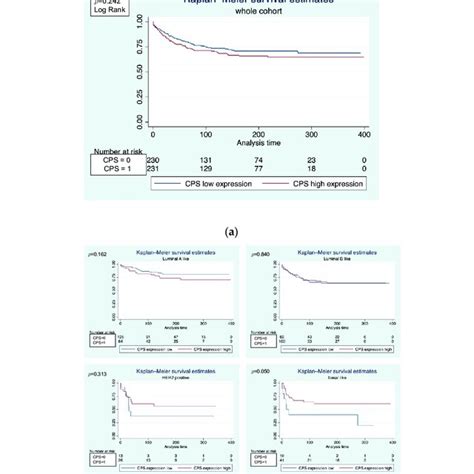 Scatter Plot Visualizing The Correlation Between Cd8 And Lag 3