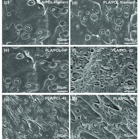 SEM Images Of A NEAT PLA B NEAT PCL C PLA PCL Filament Along
