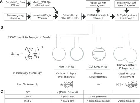 Schematic Diagram Of Model Structure And Workflow A Integration Of Download Scientific