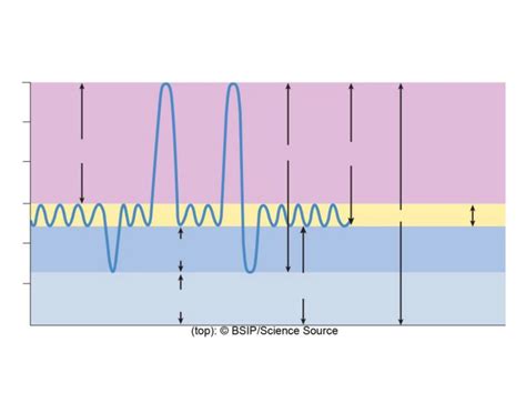 Spirometry Graph Quiz