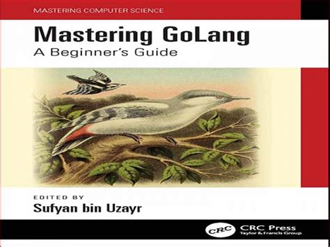دانلود کتاب تسلط بر زبان برنامه نویسی Golang راهنمای مبتدیان مجله علمی تفریحی بیبیس