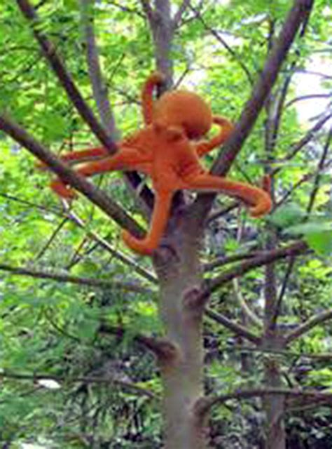 SCVNews Com Opinion Commentary Save The Tree Octopus Commentary By Dianne Erskine Hellrigel