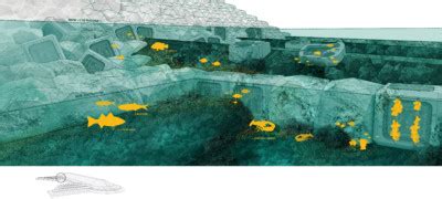 Living Breakwaters Design And Implementation SCAPE
