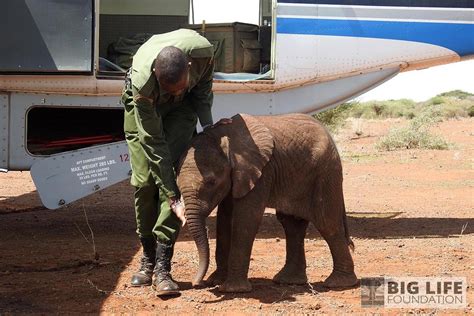 Big Life Foundation Anti Poaching