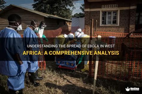 Understanding The Spread Of Ebola In West Africa A Comprehensive
