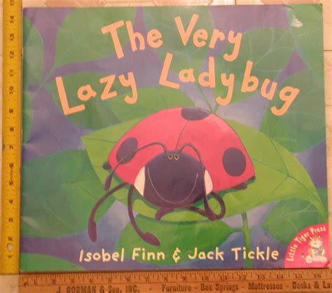 The Very Lazy Ladybug Big Book Amazon Com Br
