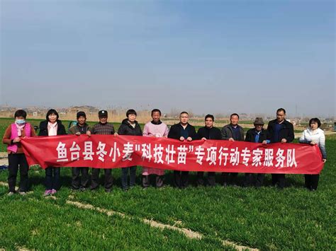 济宁市农业农村局 农业生产 鱼台县：深化田管技术宣传指导，促进小麦苗情升级