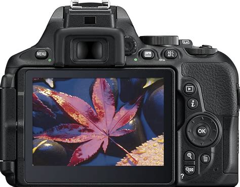 Best Buy Nikon D5600 Dslr Camera With Af P Dx Nikkor 18 55mm F35 5