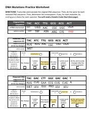 Understanding DNA Mutations Through Practice Worksheets Course Hero