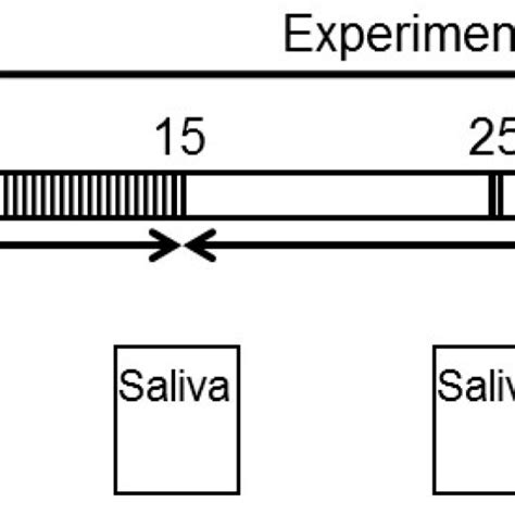Experimental Design Saliva Saliva Sampling Ques Questionnaire