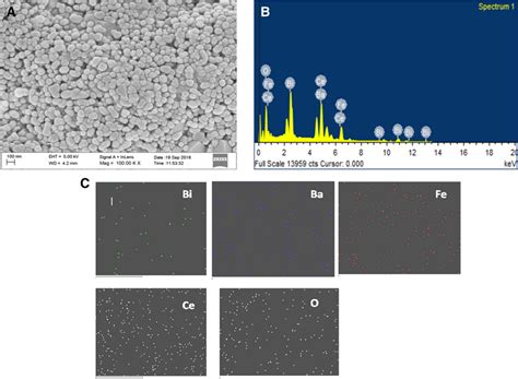 A Sem Scanning Electron Microscope B Edx The Energy Dispersive X Ray