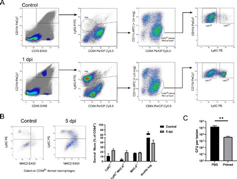 Figures And Data In Resident Macrophages Acquire Innate Immune Memory