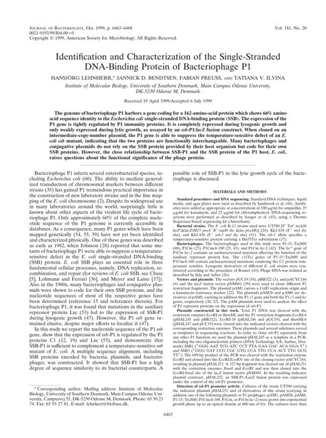 Pdf Identification And Characterization Of The Single Stranded Dna