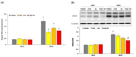 Coenzyme Q And Selenium Co Supplementation Alleviate Methionine Choline Deficient Diet Induced