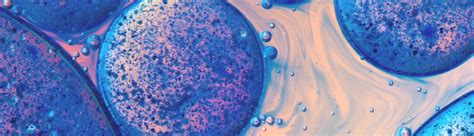 Infographic Tips For A Successful Single Cell Experiment