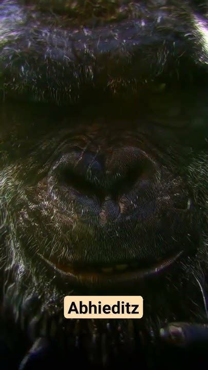 Kong Vs Drownviper Gxk Godzillaxkong Kong Pushpa2 Youtube