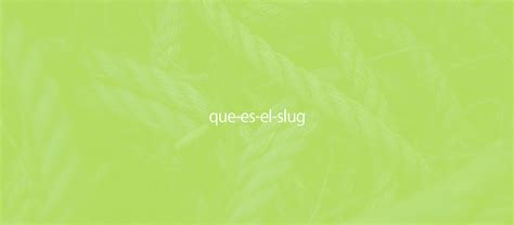 ¿qué Es El Slug En Wordpress Jesús Tovar