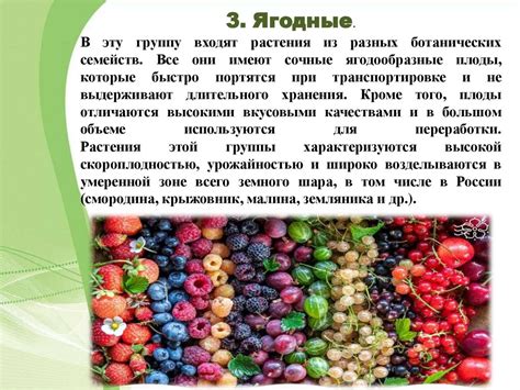 Классификация и характеристика плодовых растений Строение плодовых