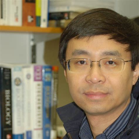 Wu Xu Professor Full Ph D University Of Louisiana At Lafayette