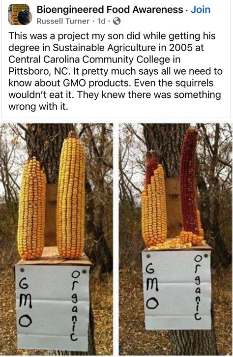 Chip Leonard On Linkedin Say “no” To Gmo