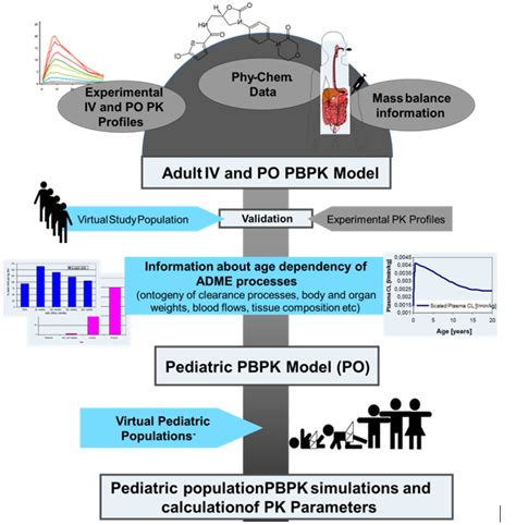 Pediatric Trial Insilicominds