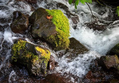 how to blur photos or freeze motion using shutter speed digital photo