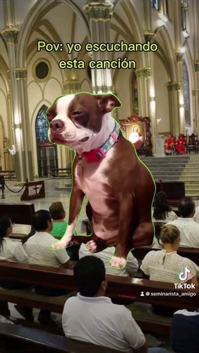 Todo En Las Manos De Dios 🙌 ♥️ 😁 Meme Memecut Fyp Parati Sacerdote