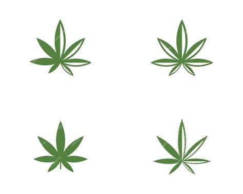 Premium Vector Canabis Leaf Vector Illustration