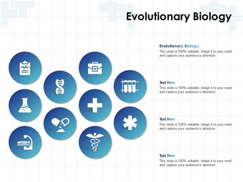 Evolutionary Biology Ppt Powerpoint Presentation Show Backgrounds