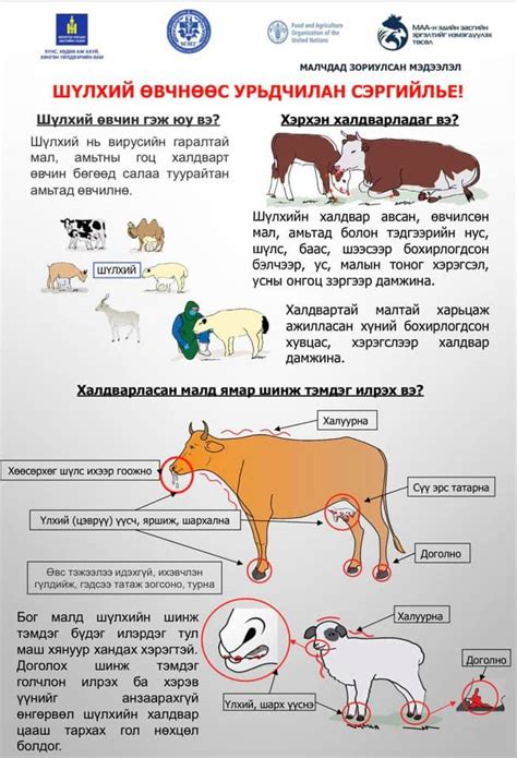 Хөвсгөл аймгийн Мал Эмнэлгийн Газар Home Facebook