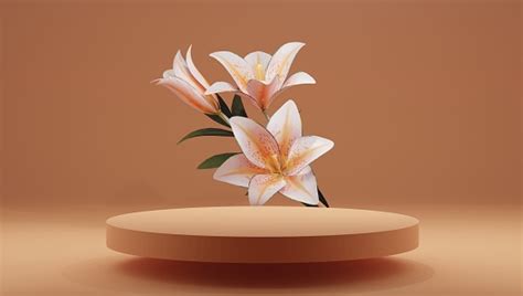 기하학적 형태의 추상적 최소 장면입니다 꽃과 색상 배경에 연단 제품 프리젠 테이션 모형 화장품 디스플레이 연단 무대 주각 또는