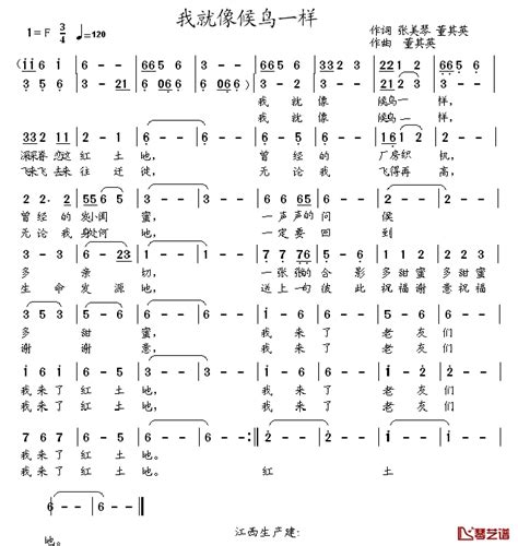 我就像侯鸟一样简谱 张美琴董其英词董其英曲 简谱大全 曲谱大全