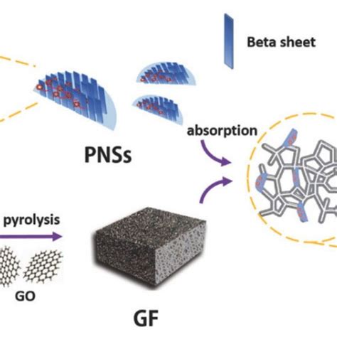 Self Assembled Peptides In The Pharmaceutical Market Download