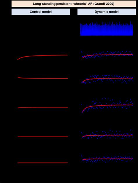 Dynamic Changes In Calcium Dependent Ionic Currents During