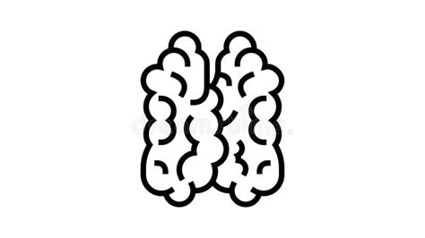Thymus Of Immune System Line Icon Animation Stock Video Video Of