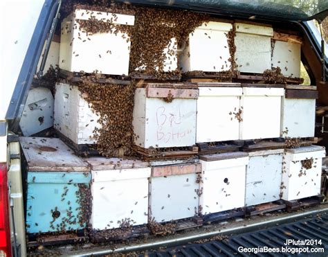 Beekeeping Beekeeper Honey Bees Pollen Wax Candle Propolis Queen Nuc
