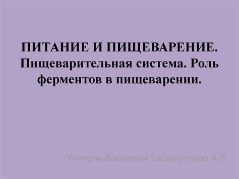 Питание и пищеварение. Пищеварительная система. Роль ферментов в ...
