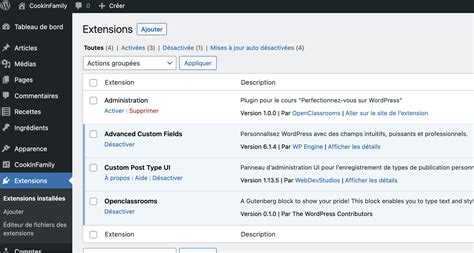 Créez un plugin personnalisé OpenClassrooms