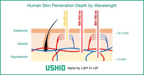 Biomedical Applications Of Deep Red 670~690nm Ushio Laser Diodes