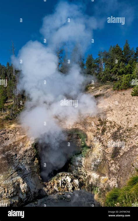 Dragons Mouth Spring Fumarole In Mud Volcano Thermal Area Of