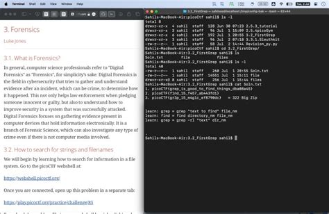 Sahil Sea On Linkedin Cybersecurity Picoctf Dsa C C C
