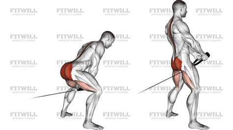 Cable Glute Dominant Step Up Exercise Guide Video Techniques Benefits How To Muscles