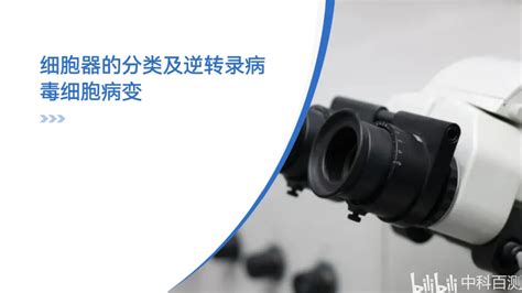 透射电镜（tem）下的细胞器分类及逆转录病毒细胞病变（百测网）生物~ 哔哩哔哩