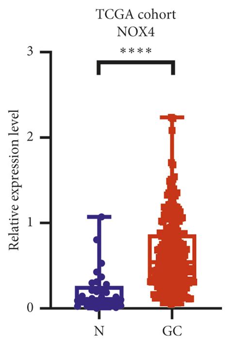Differences Of Novel Genes Expression Levels Relative Expression